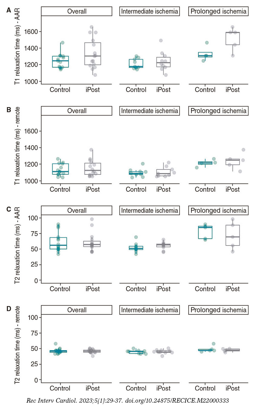 Ischemic postconditioning fails to reduce infarct size in pig models of intermediate and ...