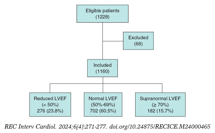 Prognosis of patients with supranormal ejection fraction undergoing percutaneous aortic valve ...