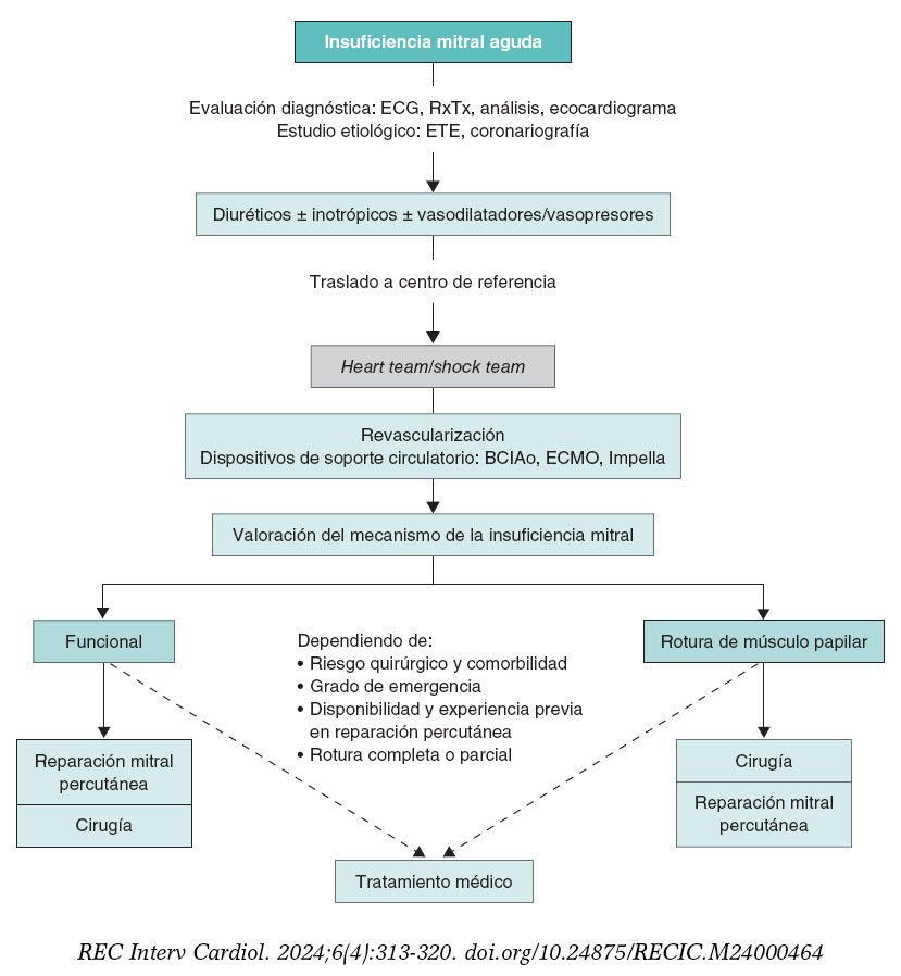 Tratamiento de borde a borde en la insuficiencia mitral aguda
