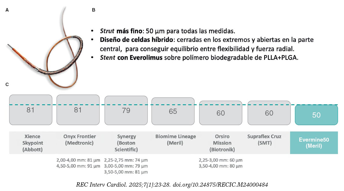 Stent de strut ultrafino liberador de everolimus en pacientes del mundo ...