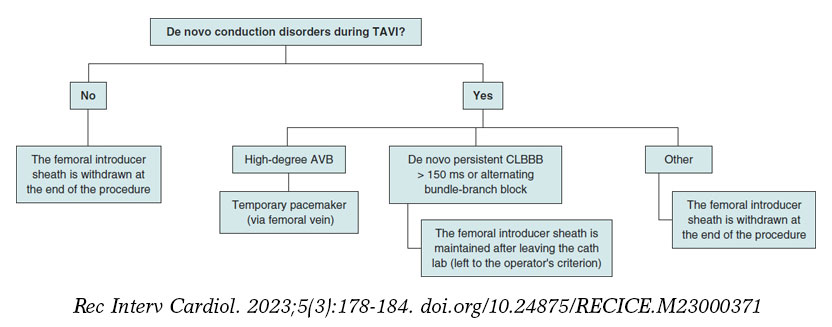 Right atrium: a good ally in left ventricular pacing during ...