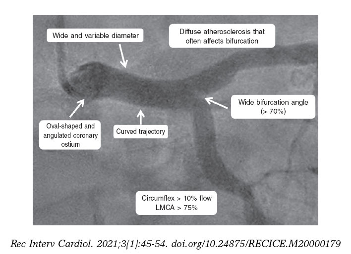 Left main coronary artery percutaneous revascularization: alea jacta est