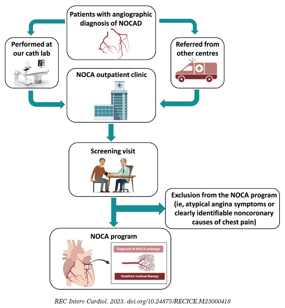 Angina or ischemia with no obstructed coronary arteries: a specific ...