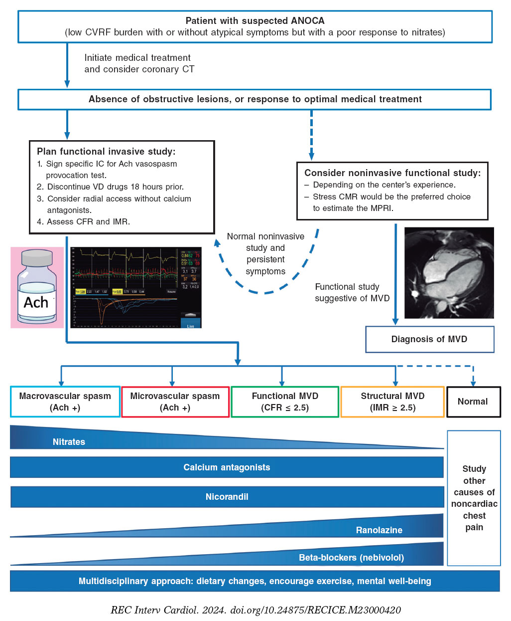 Diagnosis and treatment of patients with ANOCA Consensus document of ...