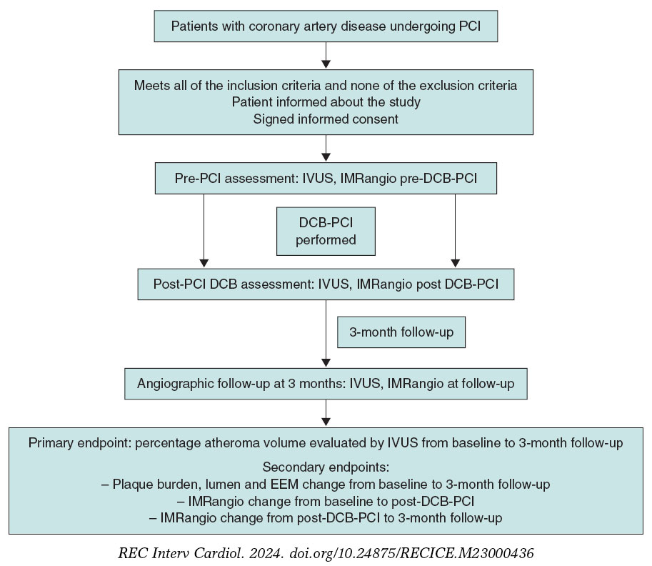 Plaque modification and impact on the microcirculation territory after ...