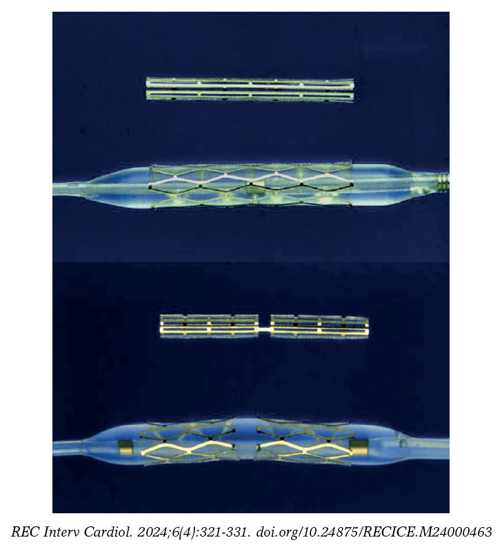 Inception of the coronary stent: a story of successful collaboration ...