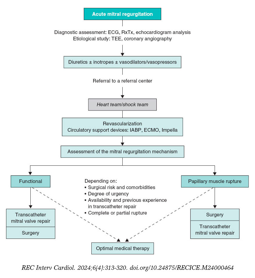 Edge-to-edge therapy in acute mitral regurgitation. Proposal for a ...