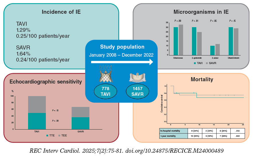 Infectious endocarditis on percutaneous aortic valve prosthesis ...
