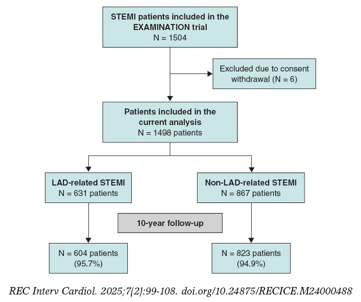 Long-term prognostic impact of the left anterior descending coronary ...