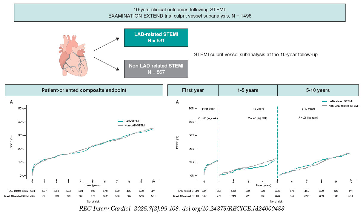Long-term prognostic impact of the left anterior descending coronary ...