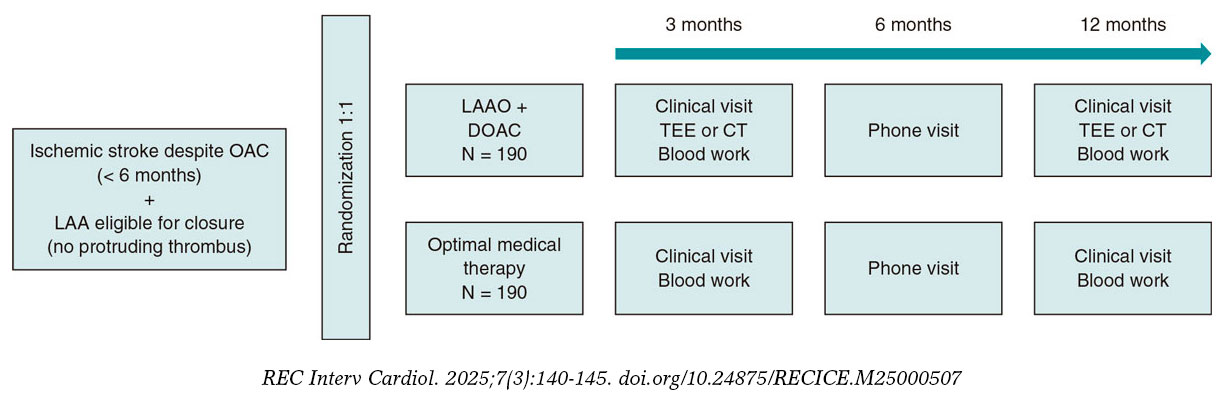 Left atrial appendage occlusion plus oral anticoagulation in stroke ...