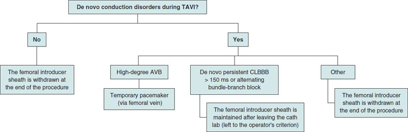 Right atrium: a good ally in left ventricular pacing during ...