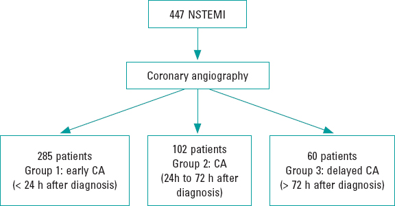 Prognostic impact of early coronary angiography in patients with non-ST ...