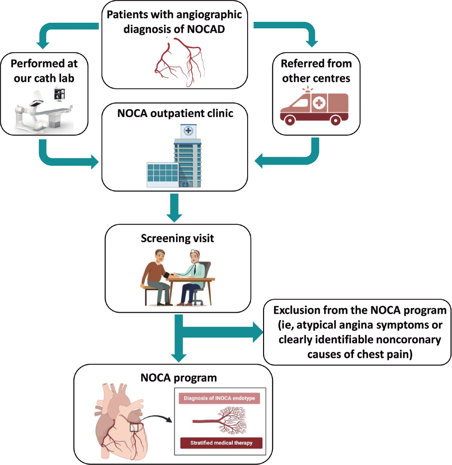 Angina or ischemia with no obstructed coronary arteries: a specific ...