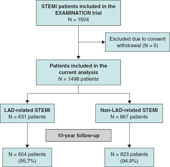 Long-term prognostic impact of the left anterior descending coronary ...