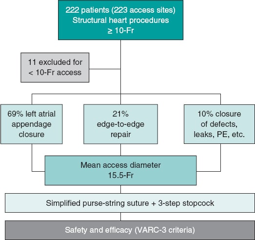Purse-string suture and 3-way stopcock for effective venous hemostasis in structural heart ...